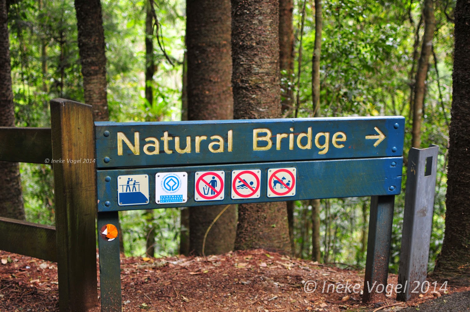 Australian waterfalls: Natural Bridge - Queensland