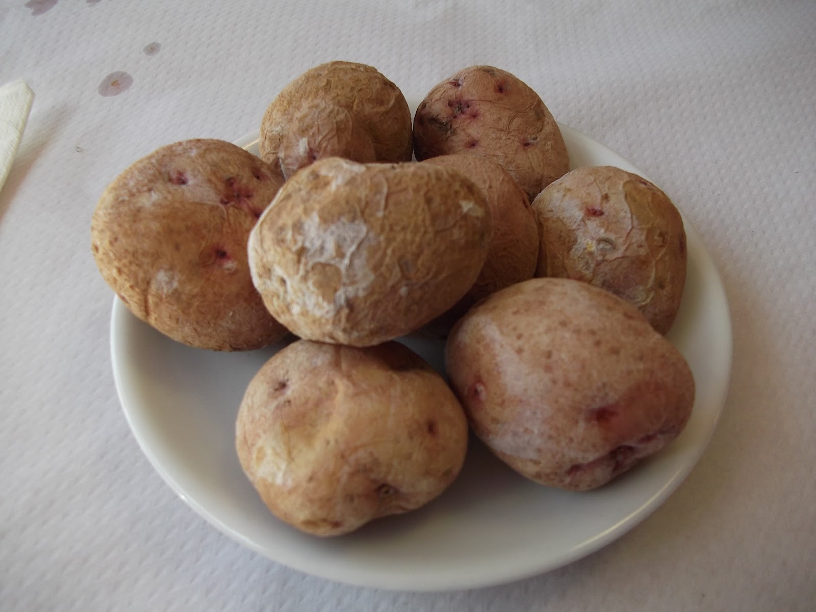 CoCiNa PaRa DuMMieS: ReVieW: Lo Que oS PerDéiS FueRa De CaNaRiaS