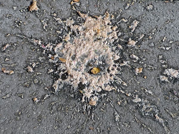 Sumpf Wenige Kofferraum kotze aus teppich Ursprung drohen Speer