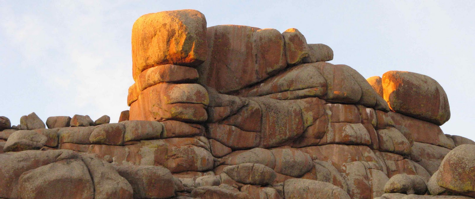 In the Company of Plants and Rocks: Geological Pilgrimage: The Tors of ...