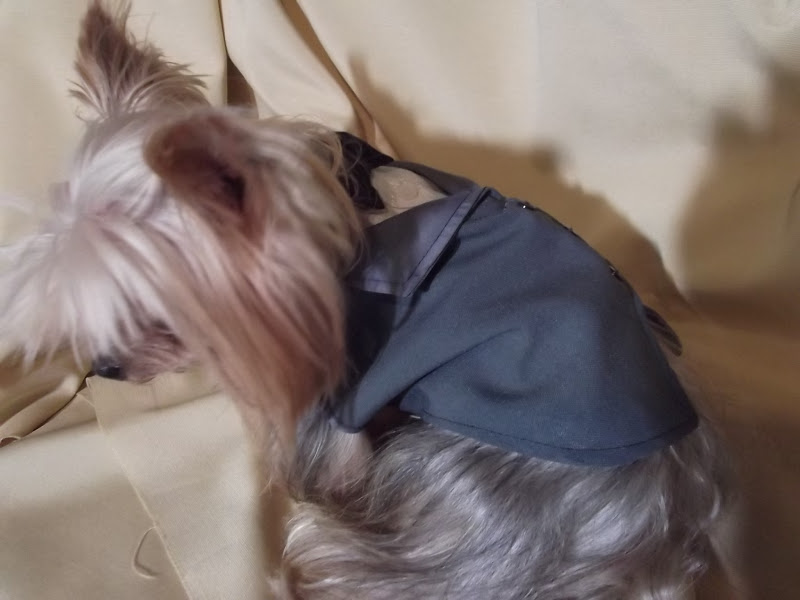 .: Um modelo de smoking bom pra cachorro.....