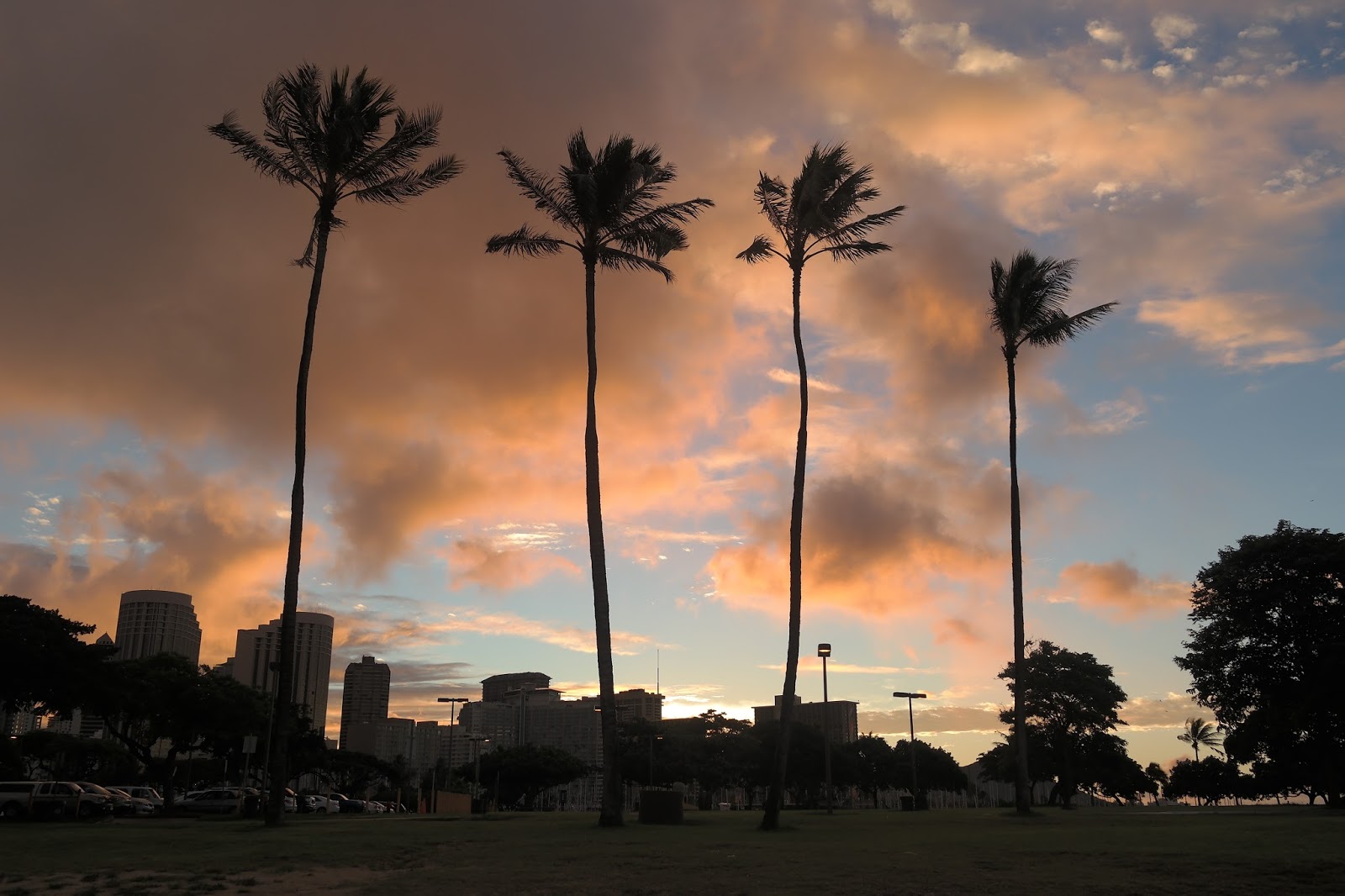 Aloha from Hawaii: Sunrise in Oahu
