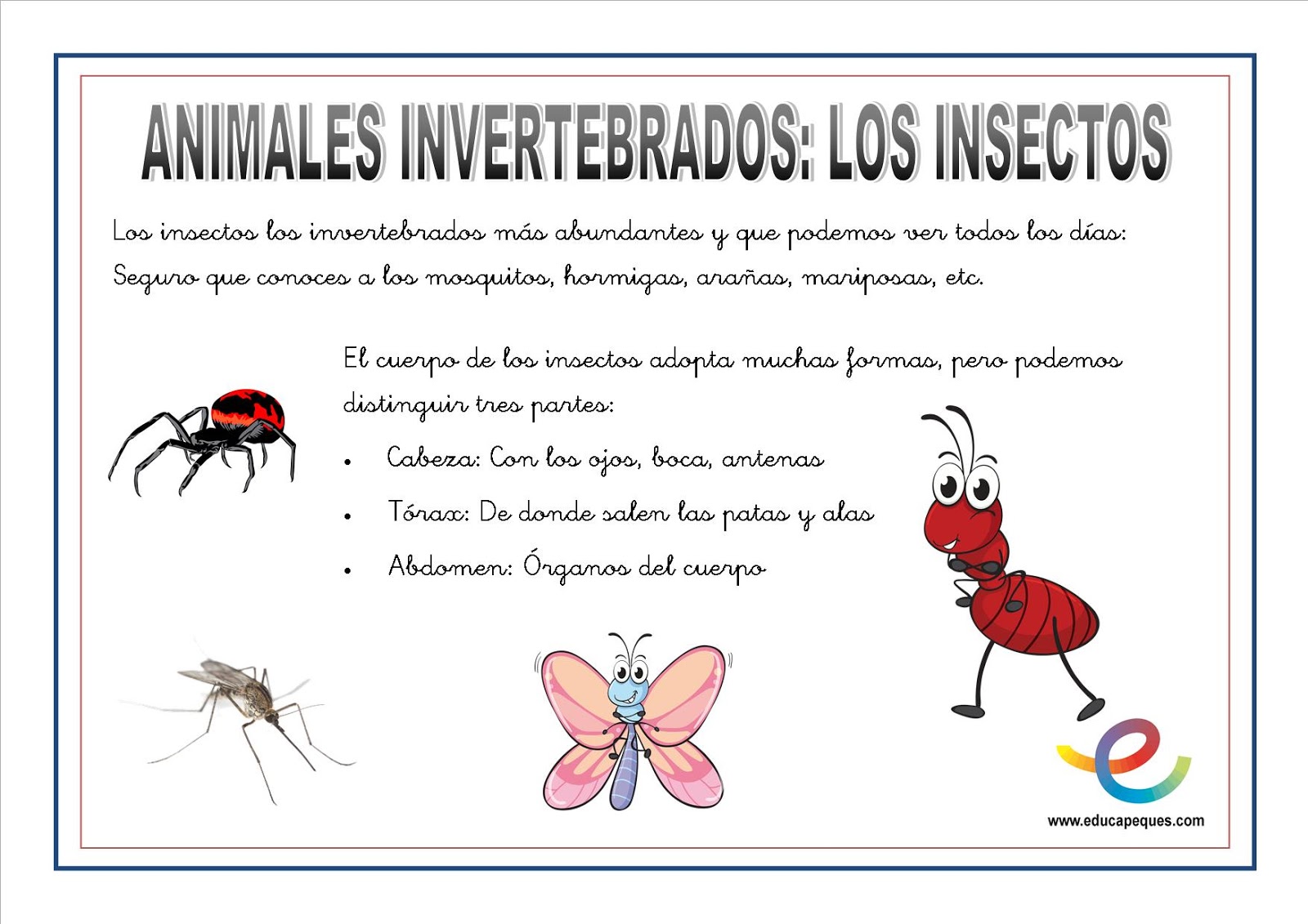 La naturaleza con niños: Formas y colores de los insectos