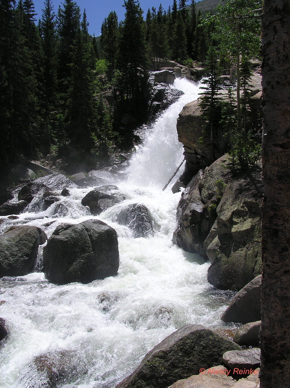 Joyful Altitude: Rocky Mountain High in Colorado