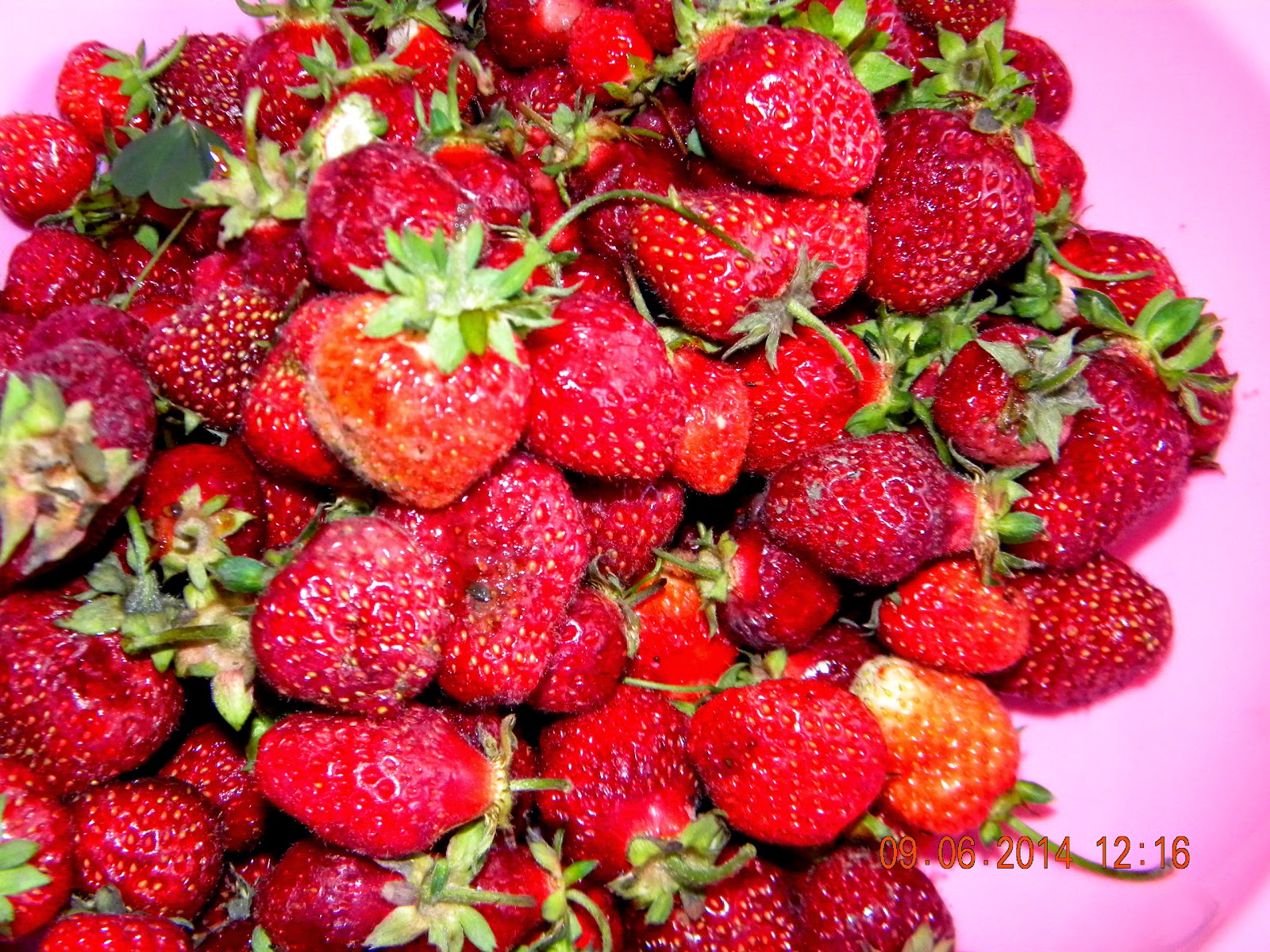 Gardener in Wonderland: CUM RECUNOASTEM CAPSUNILE NATURALE