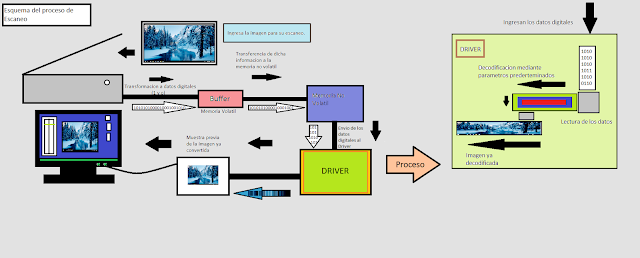Funcionamiento del Scanner: Función de un Scanner