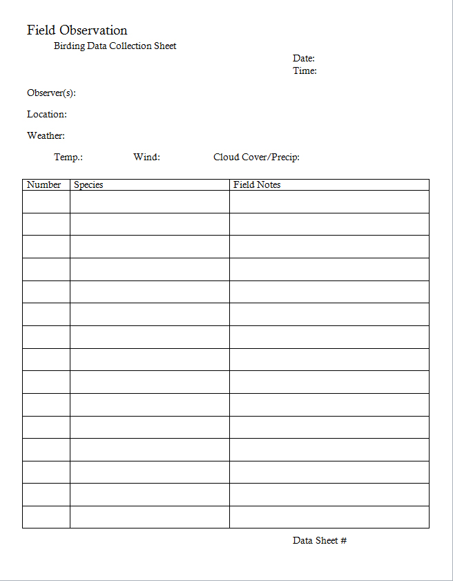 QuestX: Birding > Field Observation Report ("Birding Basics" data ...