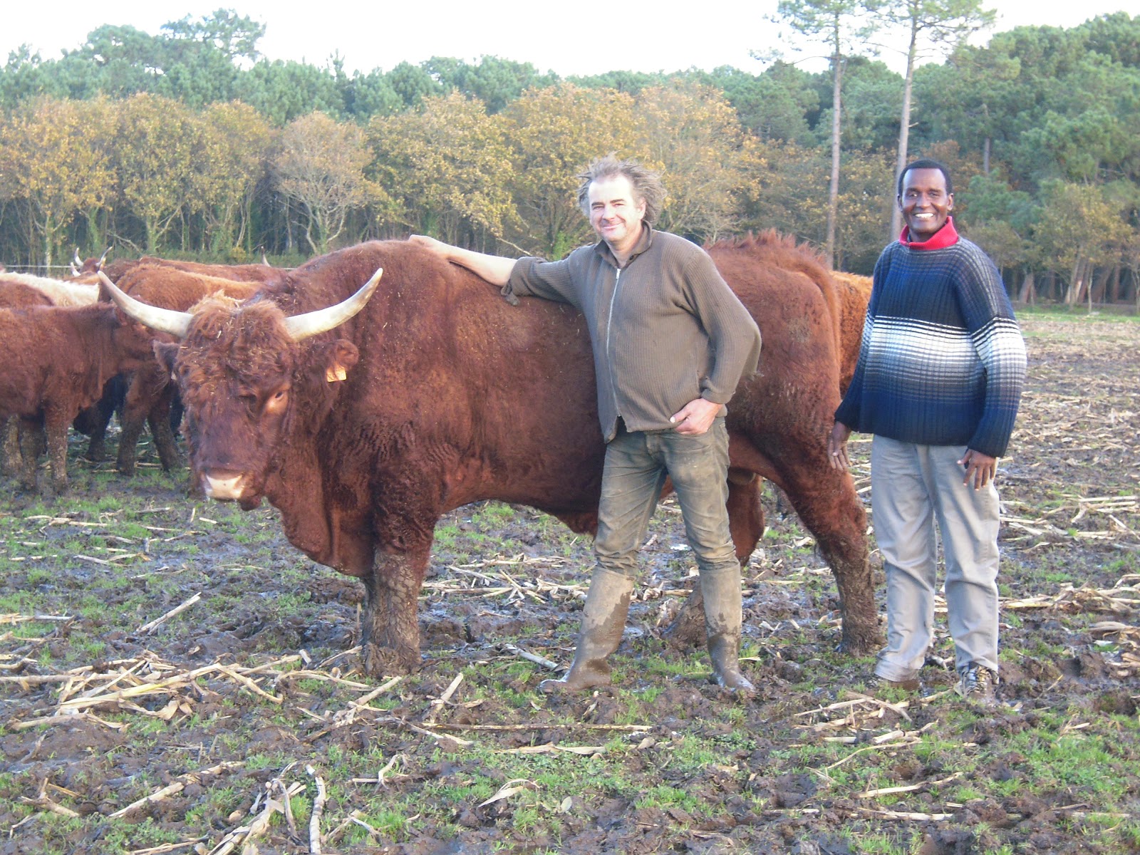 L'Afrique....Terres de Couleurs: Un fermier Maasaï chez un fermier ...