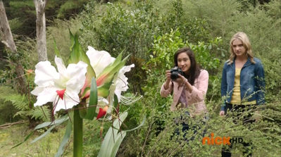 Henshin Grid: Power Rangers Megaforce - United We Stand - Episode Review