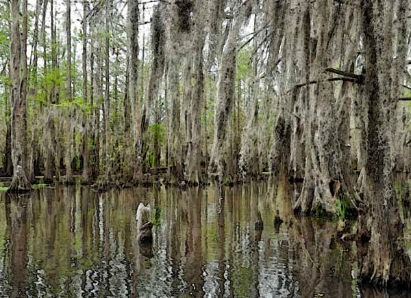 Stormy Night Tales: A Place Called Dismal