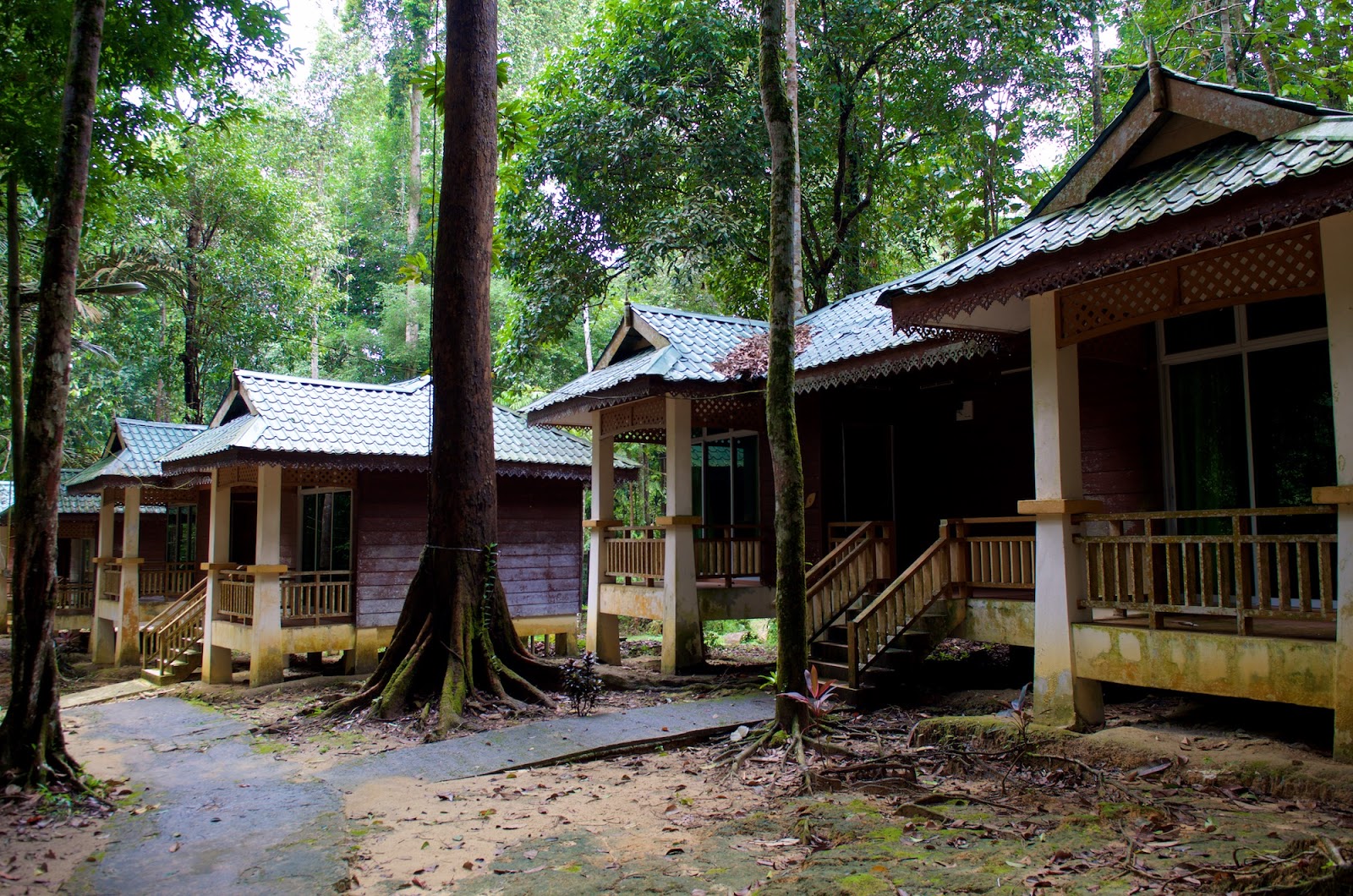 Celebrate Malaysia!: Sg Sedim: Plunging into rivers and walking among ...