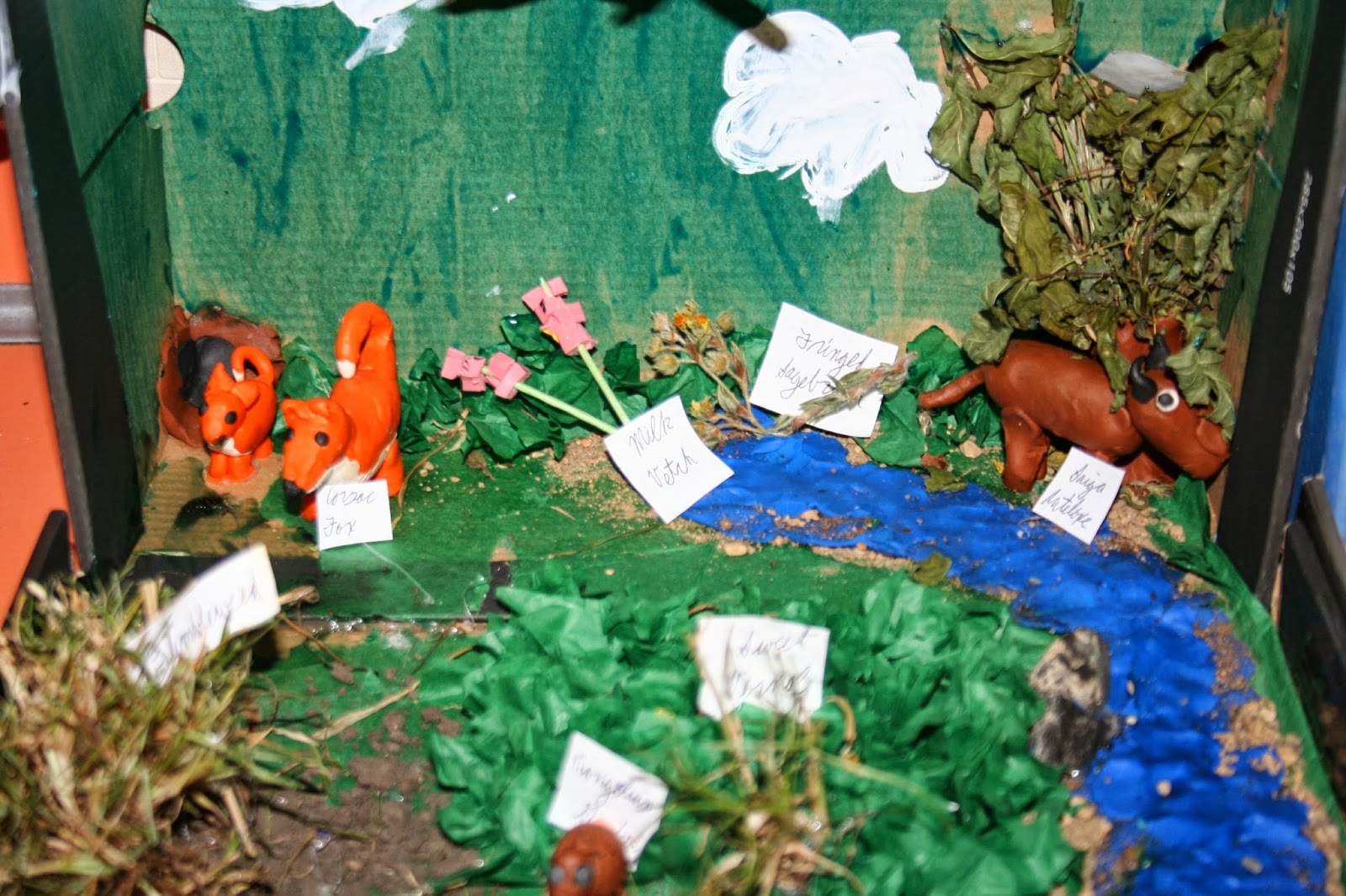 AcTal 7 Classroom Blog: Science Dioramas