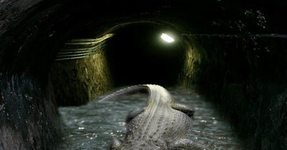 Can of Mystery: Alligators In The Sewers