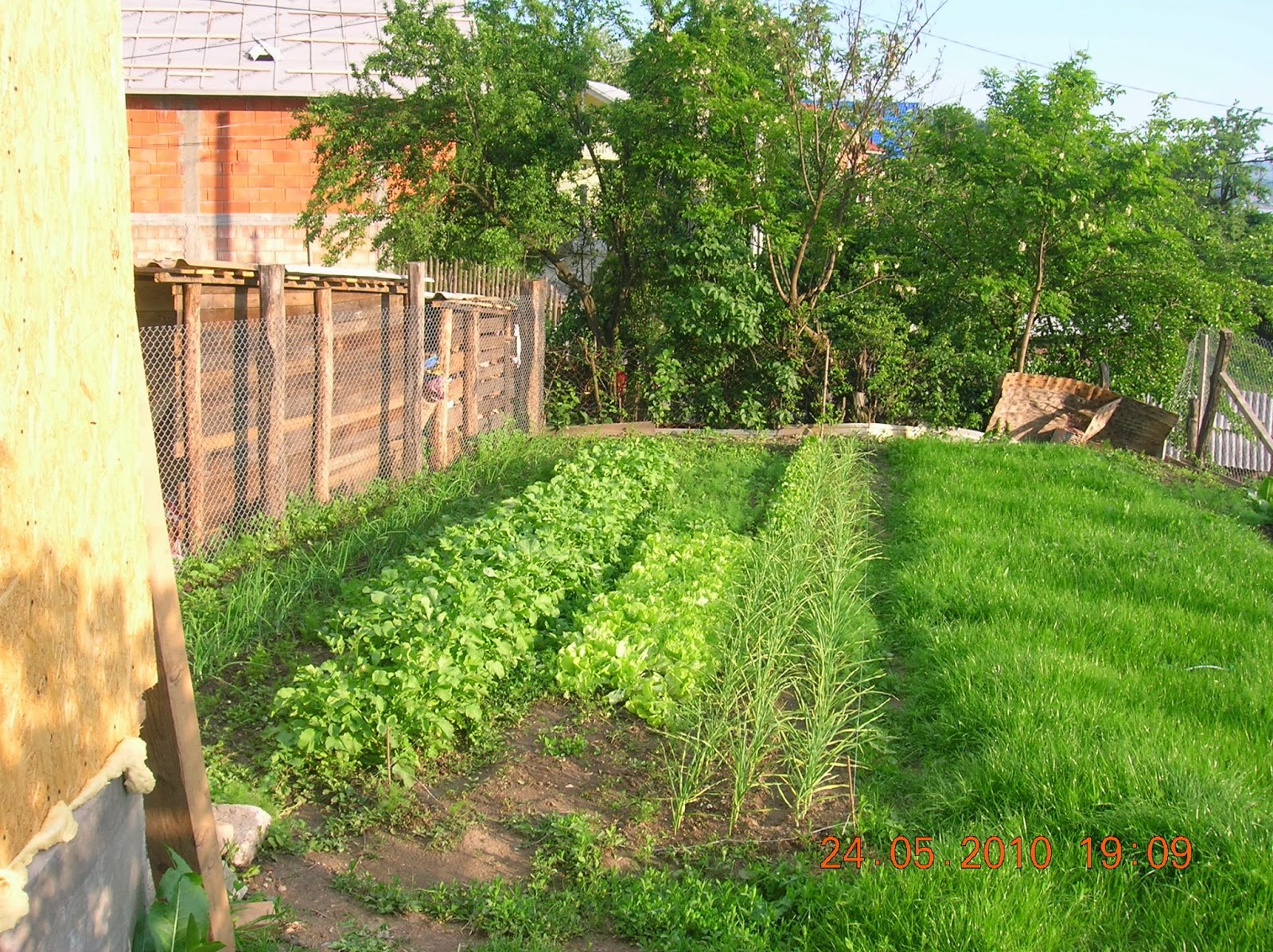 Gradinarit anotimp cu anotimp: 1001idei pentru gradina ta - GRADINA DE ...