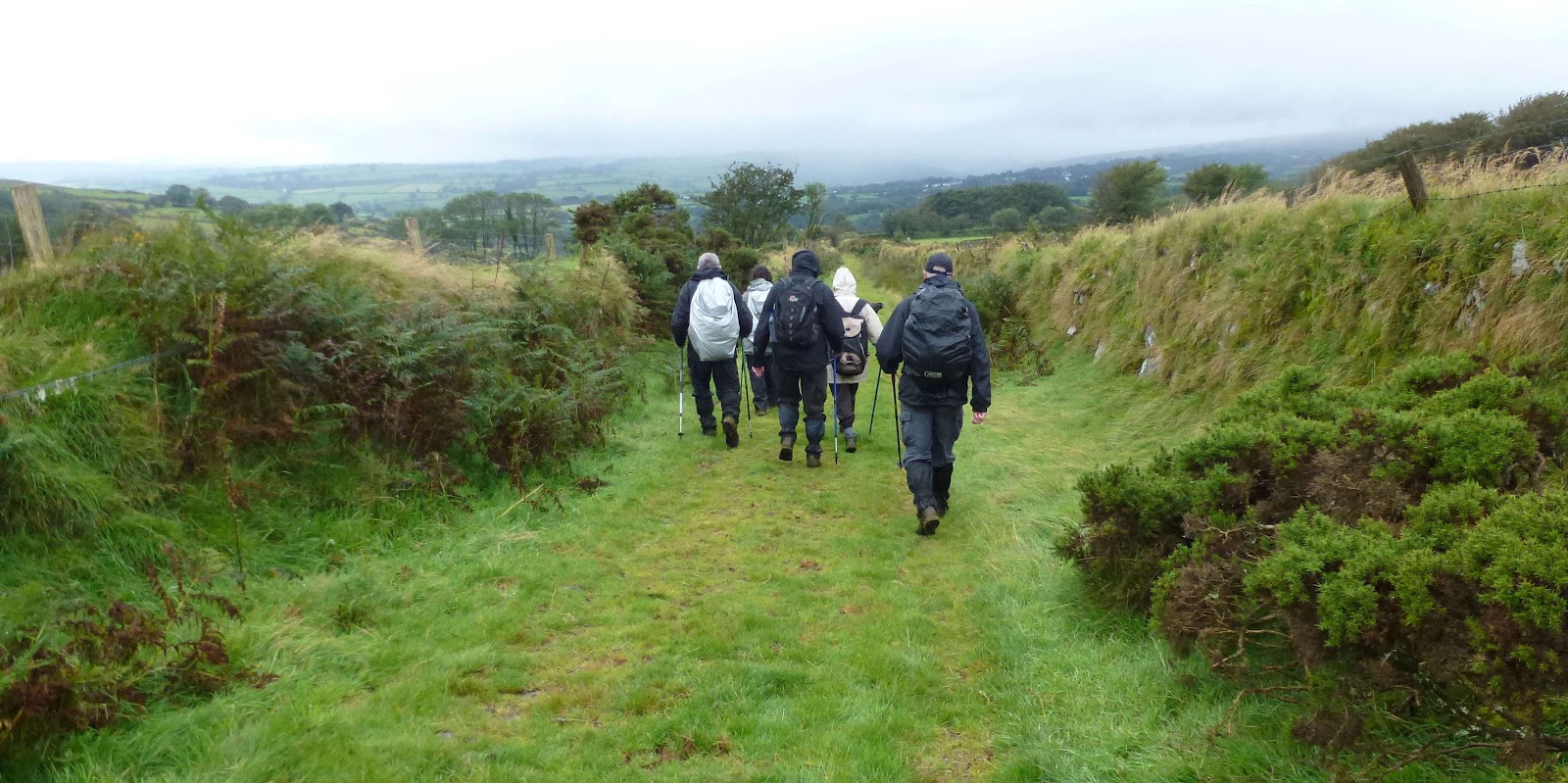 My Dartmoor Walks: Monday 10th September Peter Tavy