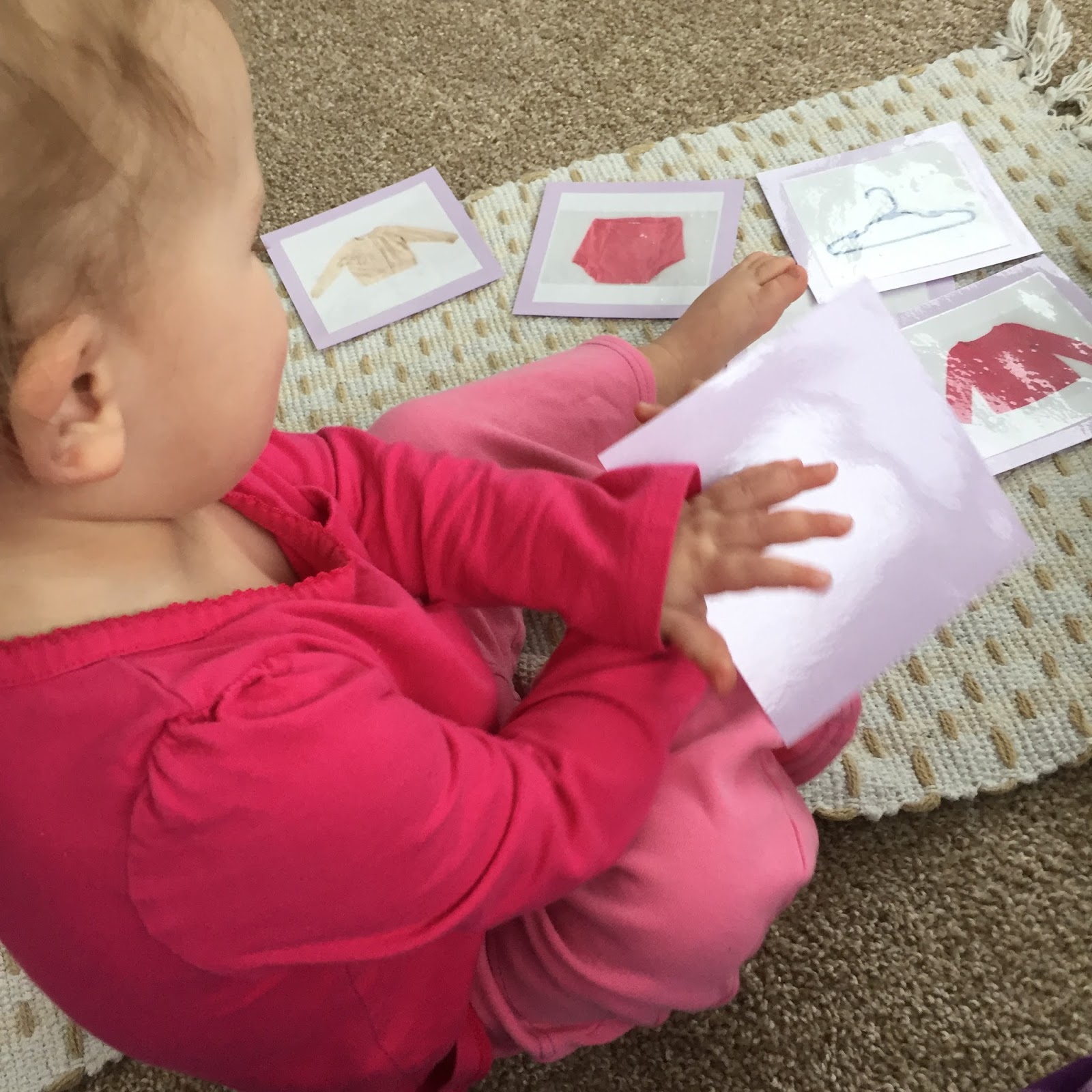 Montessori Toddler Classification Cards with Printable