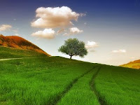 LEPE MISLI, VERZI, CITATI: Lepa misel: življenje