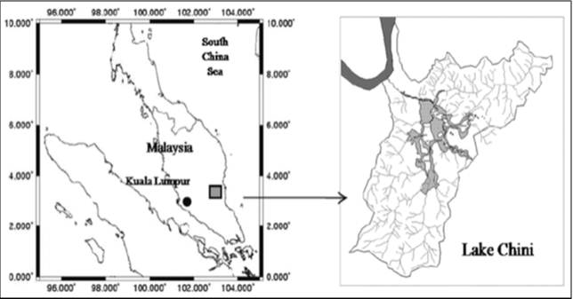 Dr Mat: Safe Tasik Chini Campaign: This time not just the experts ...
