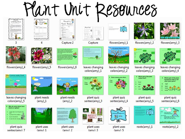 3 Teacher Chicks: Plant Unit Resources