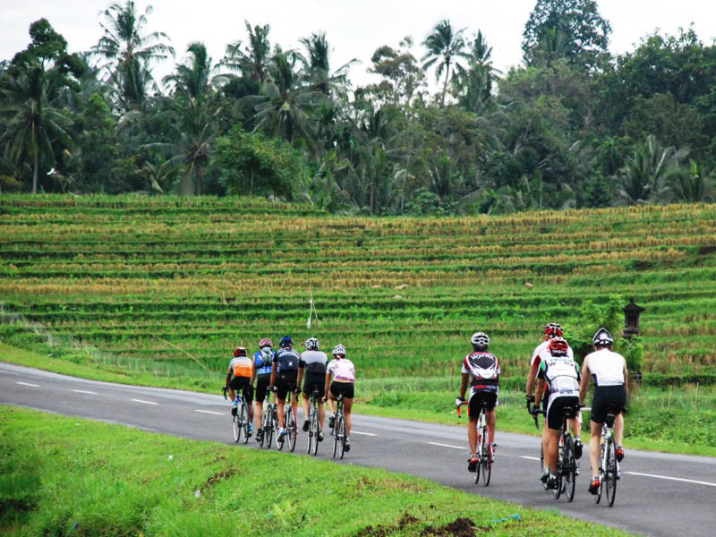 Bali Tourism Information: Tips for Bali Holiday escapes