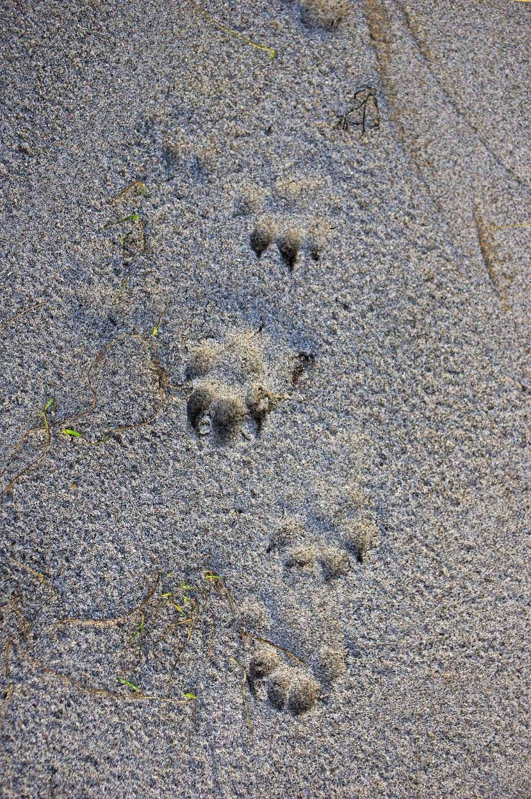 Essays and Diversions: December 2013