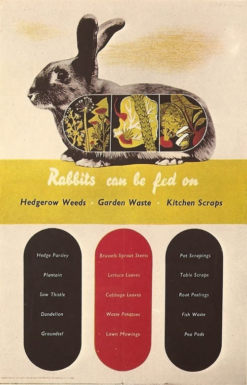 Two Men and a Little Farm: VINTAGE POSTER SUNDAY, RABBITS CAN BE FED ON