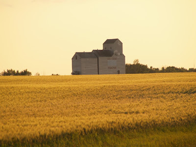 Tehachapi Pete: Pangman....