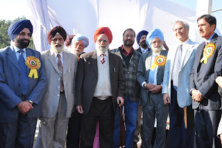 Savi's Poetry, Paintings & Photos