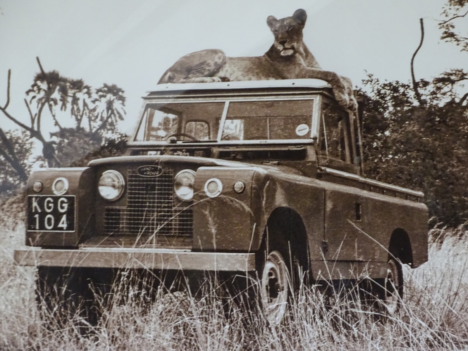 George und Joy Adamson mit Elsa
