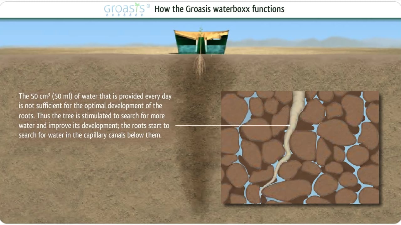 Earth's Internet & Natural Networking: Groasis Waterboxx: Desert ...