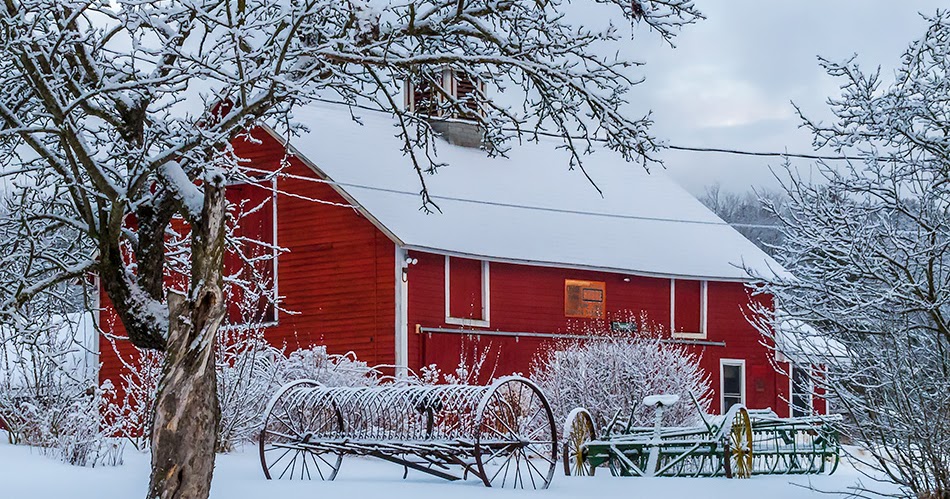 Getting it Right in the Digital Camera : Noise Reduction in Lightroom CC