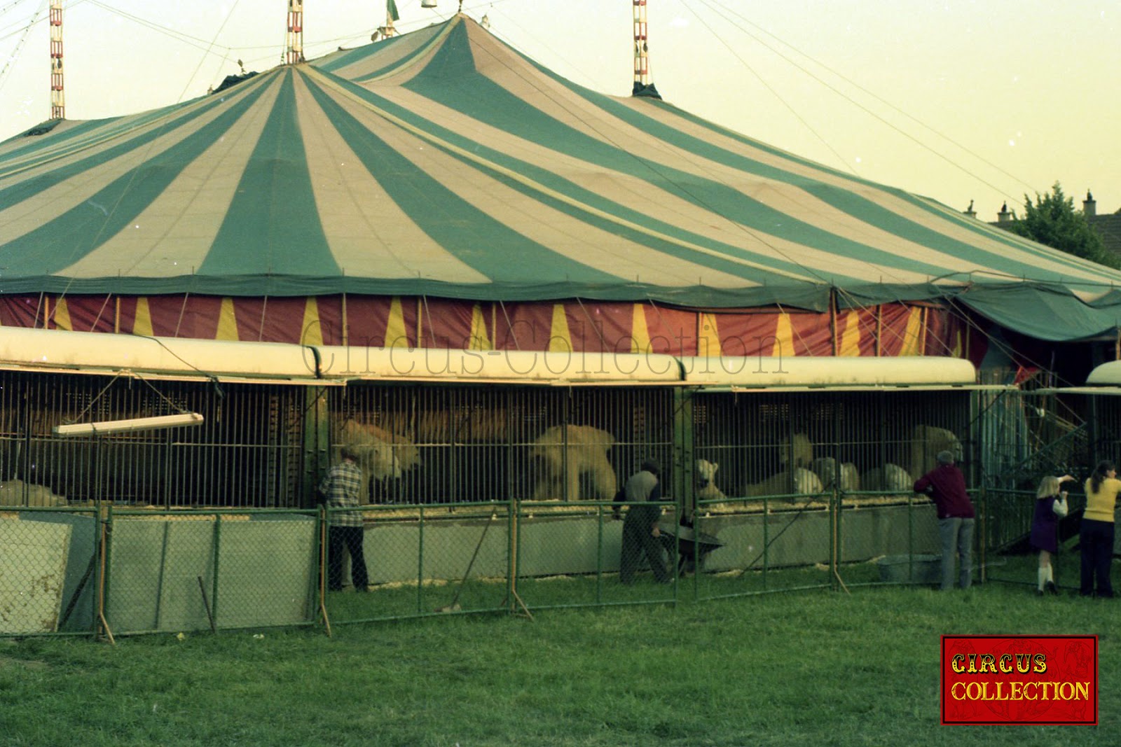 Circus -Collection: Cirque Carl Althoff 1976