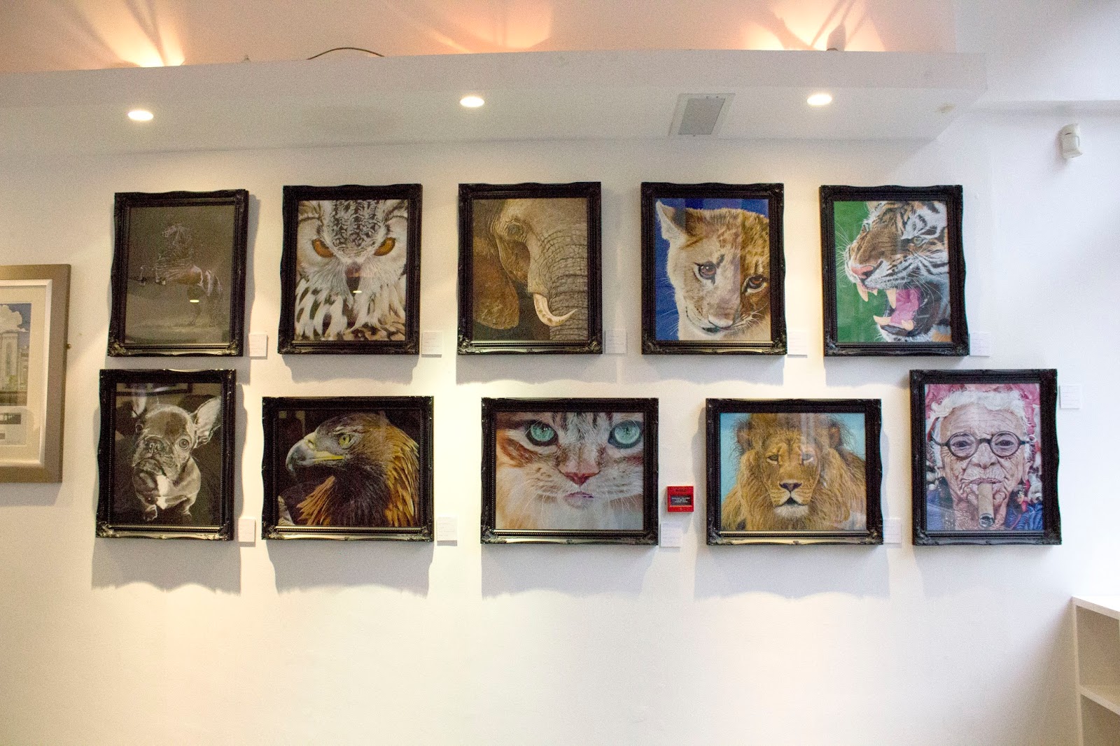 The Original Redhead: City Finds: DRAW MORE EXHIBITION