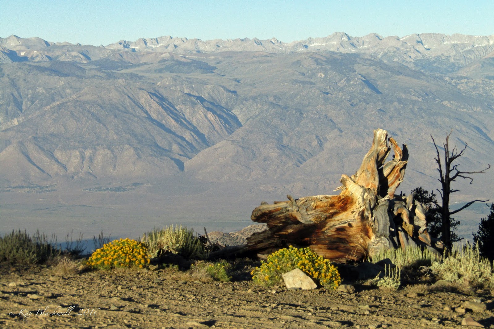 Around the Bend Friends ®: White Mountain (White Mountains Wilderness ...