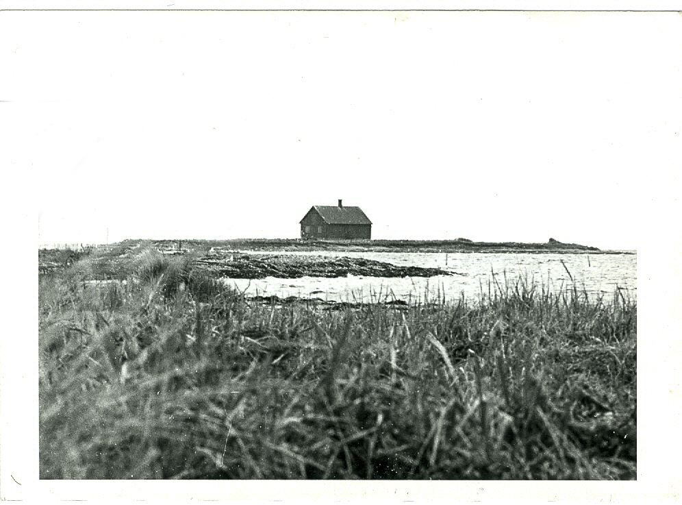 Snatur-bloggen: Endnu mere Vresen.