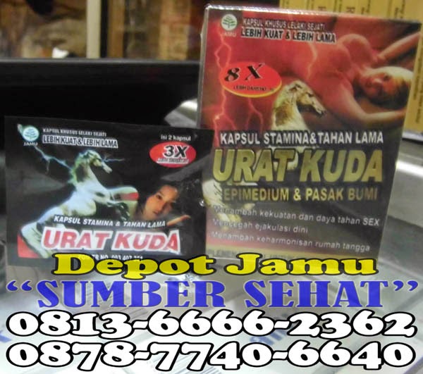 Urat Kuda Kapsul ~ Jamu Kuatku