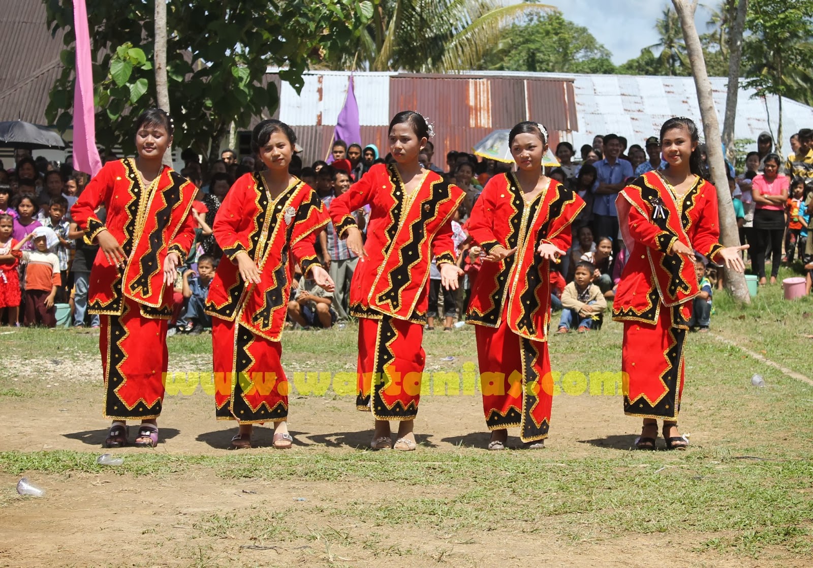 Tari Maena Tari Khas Nias - Warta Nias
