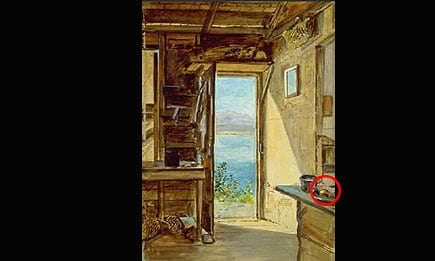 Australian Lamington Official Website