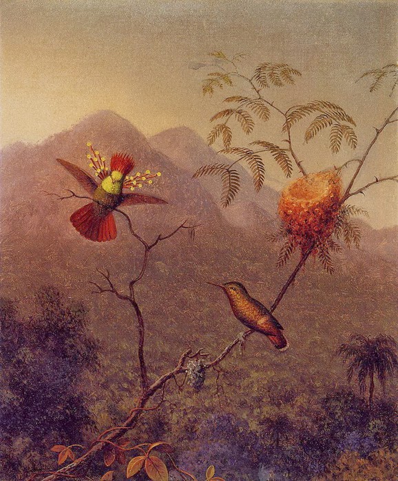 Martin Johnson Heade | Prolific Painter | 1819-1904 - Fine Art and You
