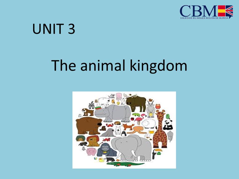 BASILIO SÁEZ - 2ND GRADE: Unit 3 Natural Science - The animal kingdom
