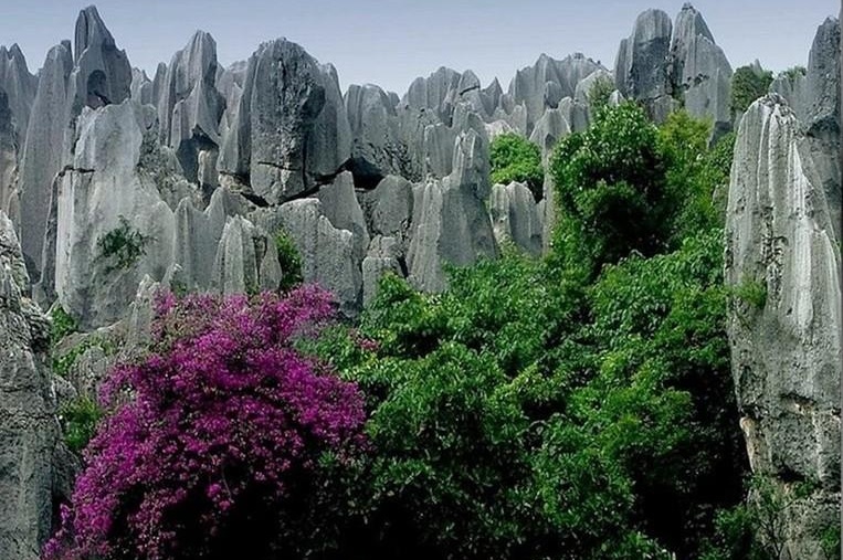 GENERAL BLOG: Amazing Stone Forest Nature Photography
