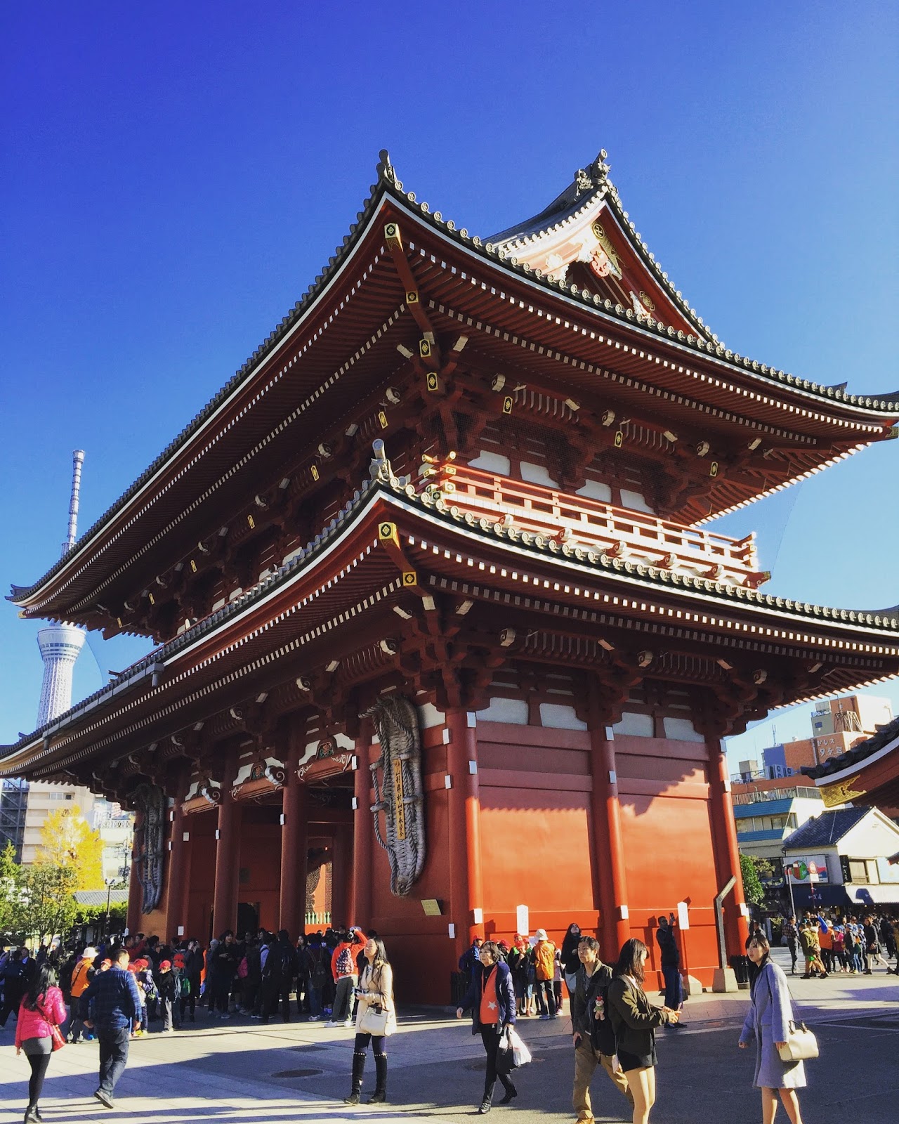 My Emirates journey/ Moje putování s Emirates