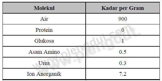Proses Pembentukan Urin