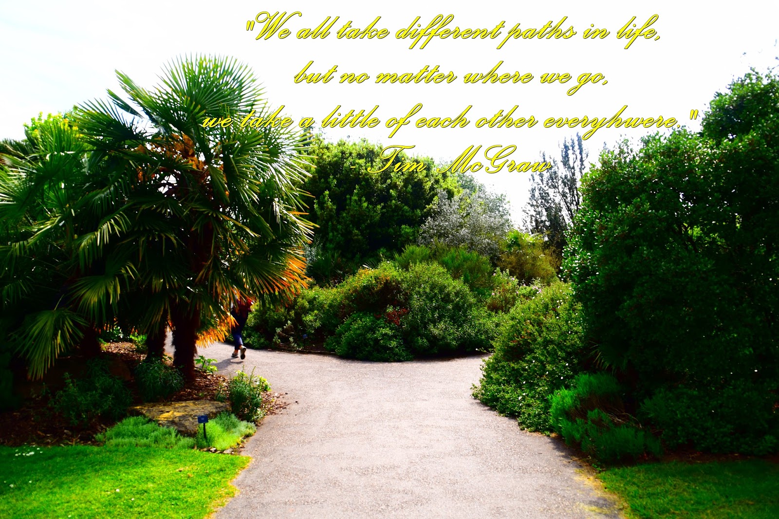 Enjoy your time with beautiful places: QUOTES