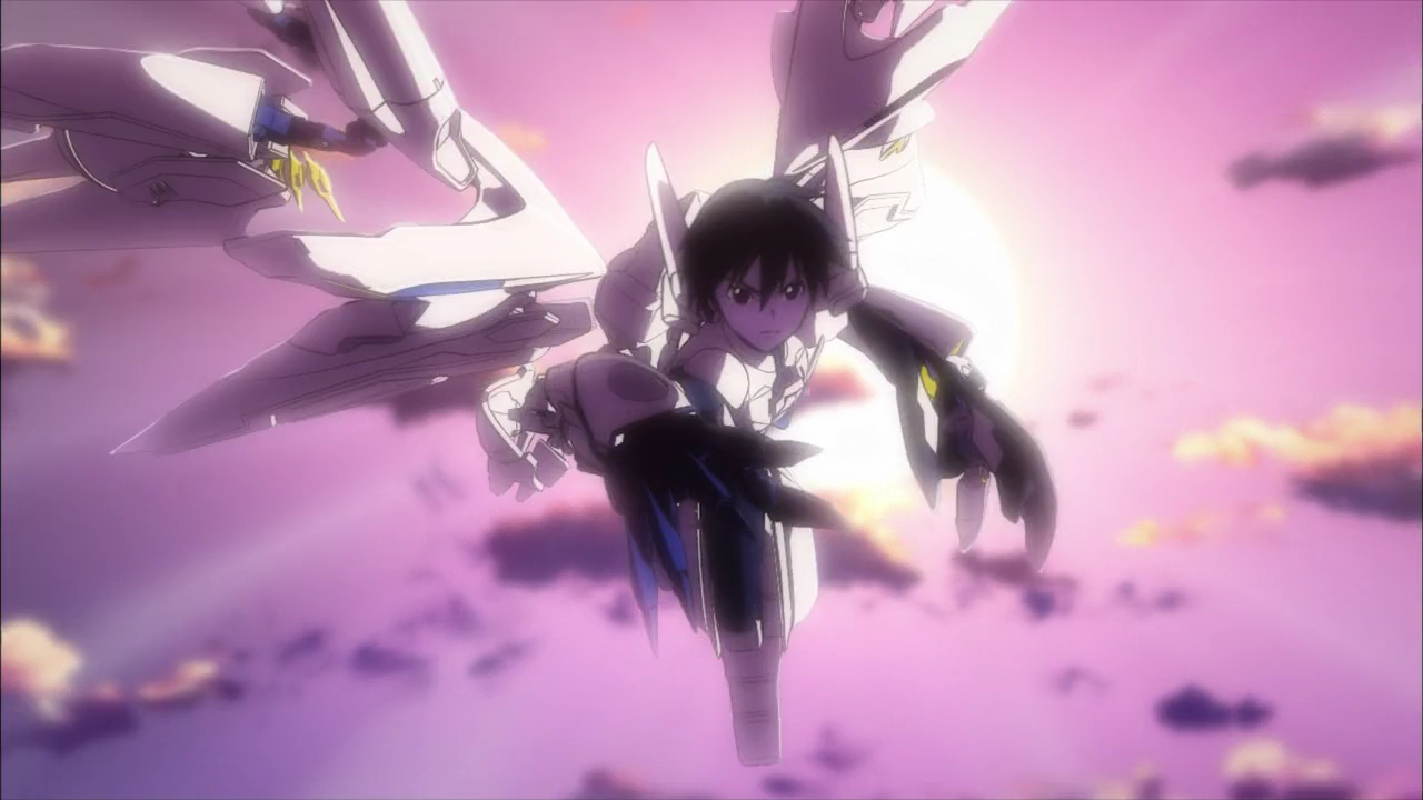 [Final review] Infinite Stratos