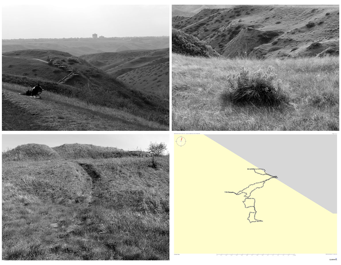 Don Gill - Walking: Ravine