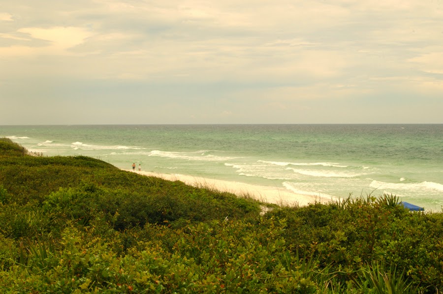 Sotto Il Monte Vineyards: ALYS BEACH ON THE EMERALD COAST