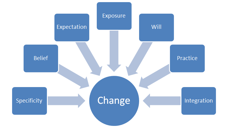 All Nine: The Change Agent’s Toolkit: Seven Components of Positive ...