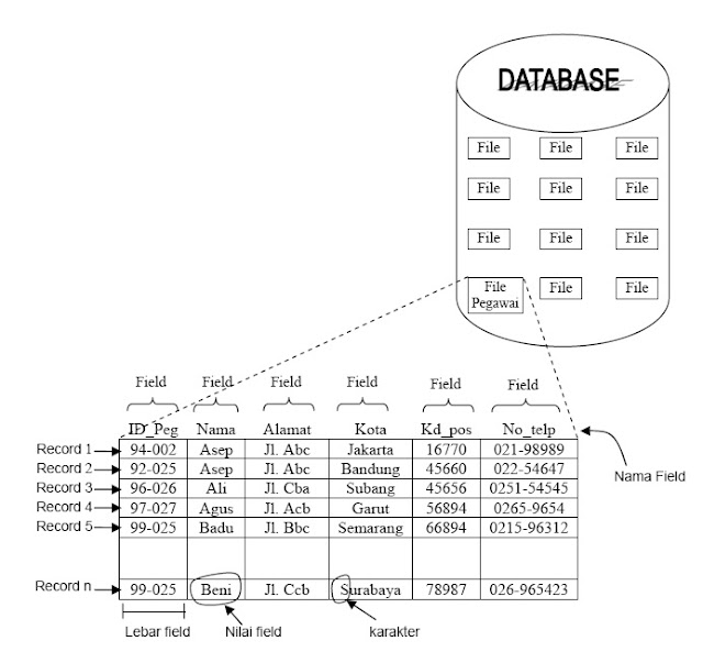 Alparis: Field, Record, File dan Database?