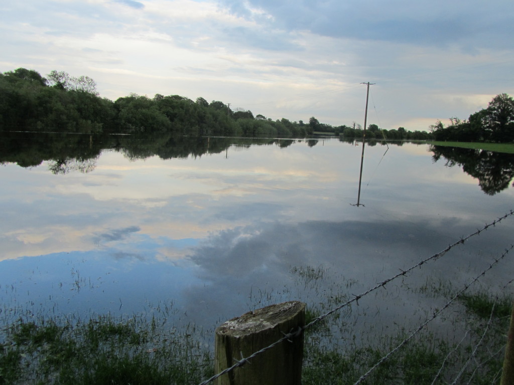 NB The Puzzler: 11th - 12th June 2012. The Barrow Line to Fisherstown ...